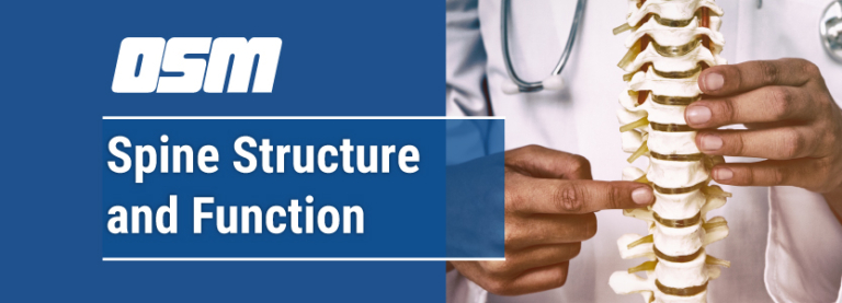 Spine Structure and Function - Orthopedic & Sports Medicine