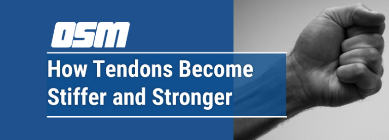How Tendons Become Stiffer and Stronger - Orthopedic & Sports Medicine