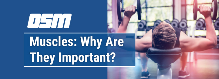 Why Are Muscles Important? - Orthopedic & Sports Medicine